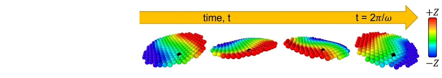 Elastic Sheet Swimming using Dynamic Magnetic Fields: CBES: Center for ...